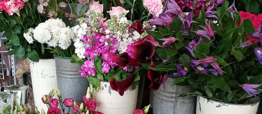 Floral Touch Florist Bath - Order Online or 01225 331335